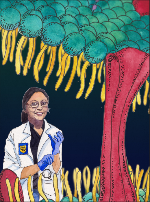 The cell membrane detective - SciTales