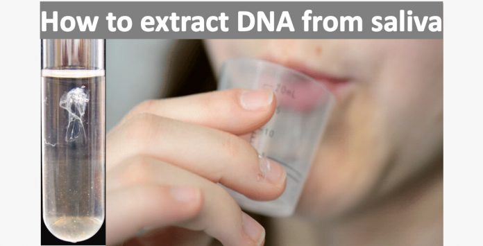 DNA isolation using household items - SciTales