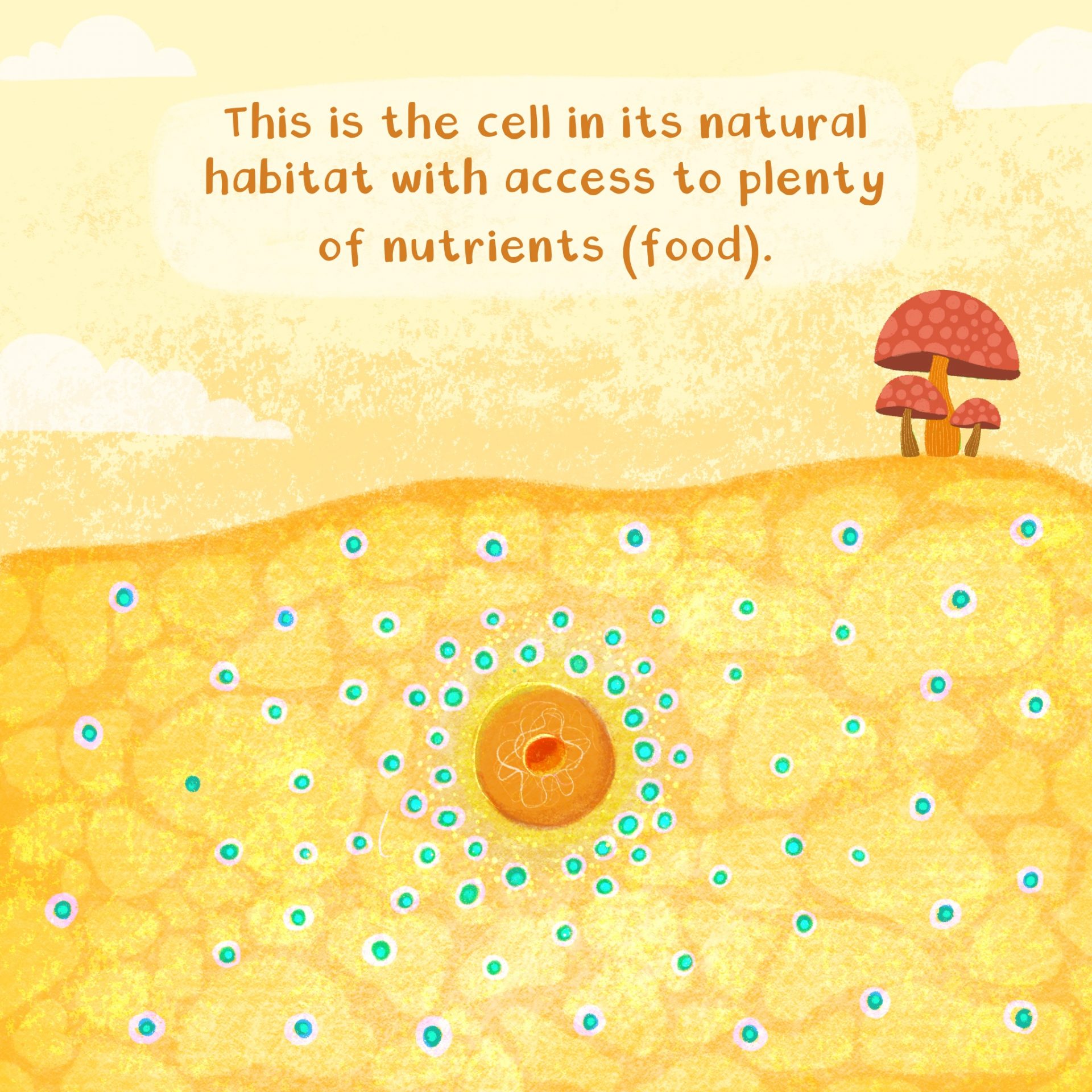 The Resilient Cell - SciTales