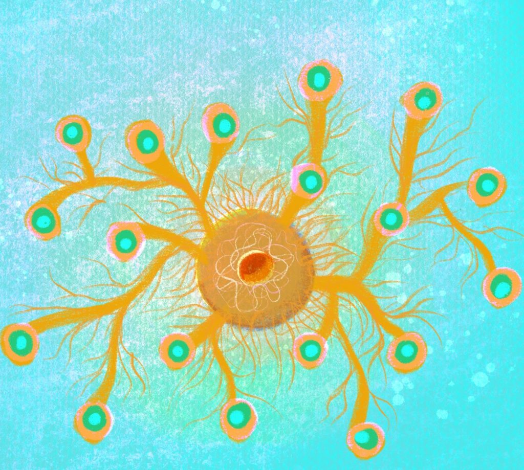 The Resilient Cell - SciTales