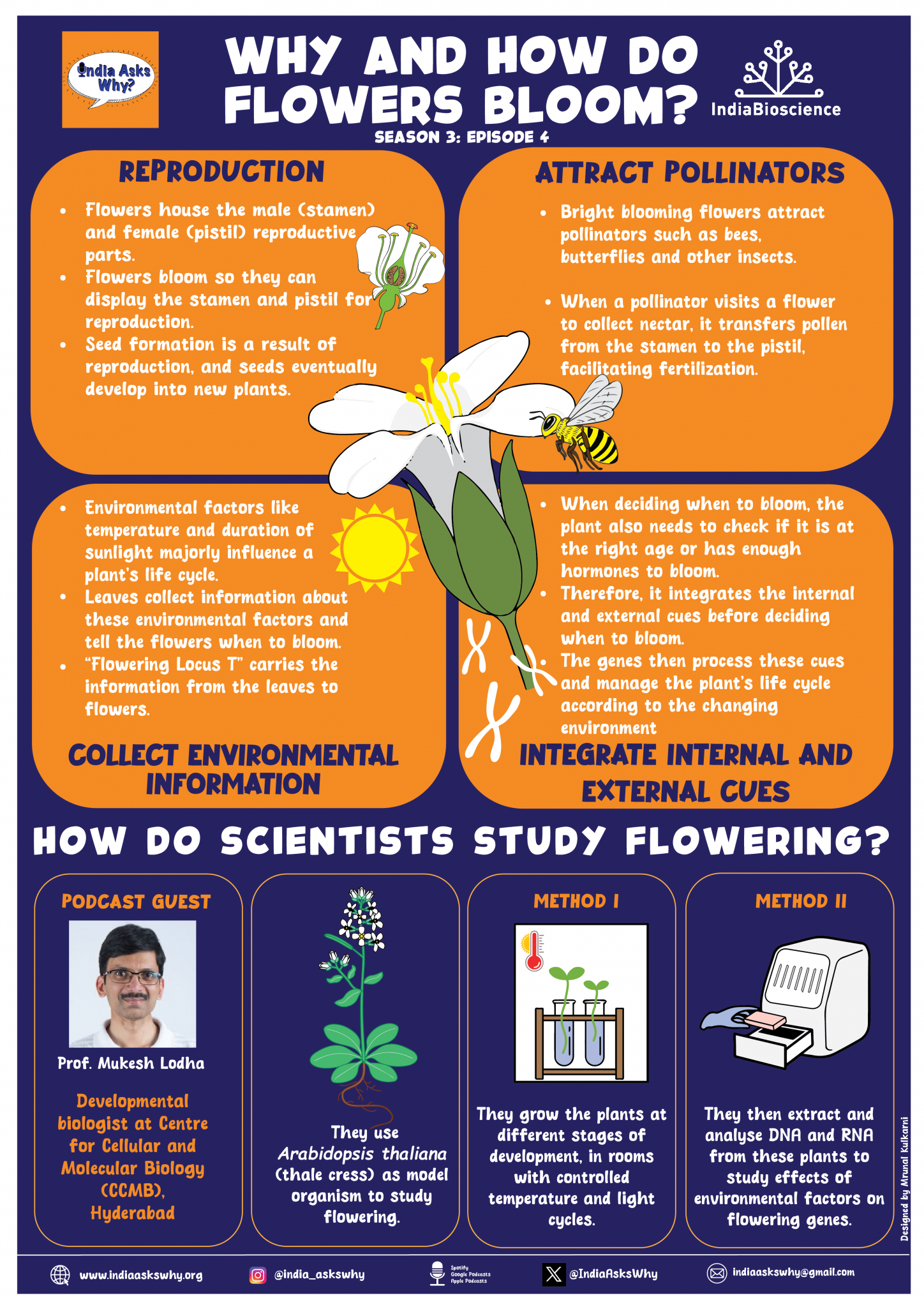 IndiaAsksWhy | Season 3 | Episode 4 | Why do flowers bloom? - SciTales