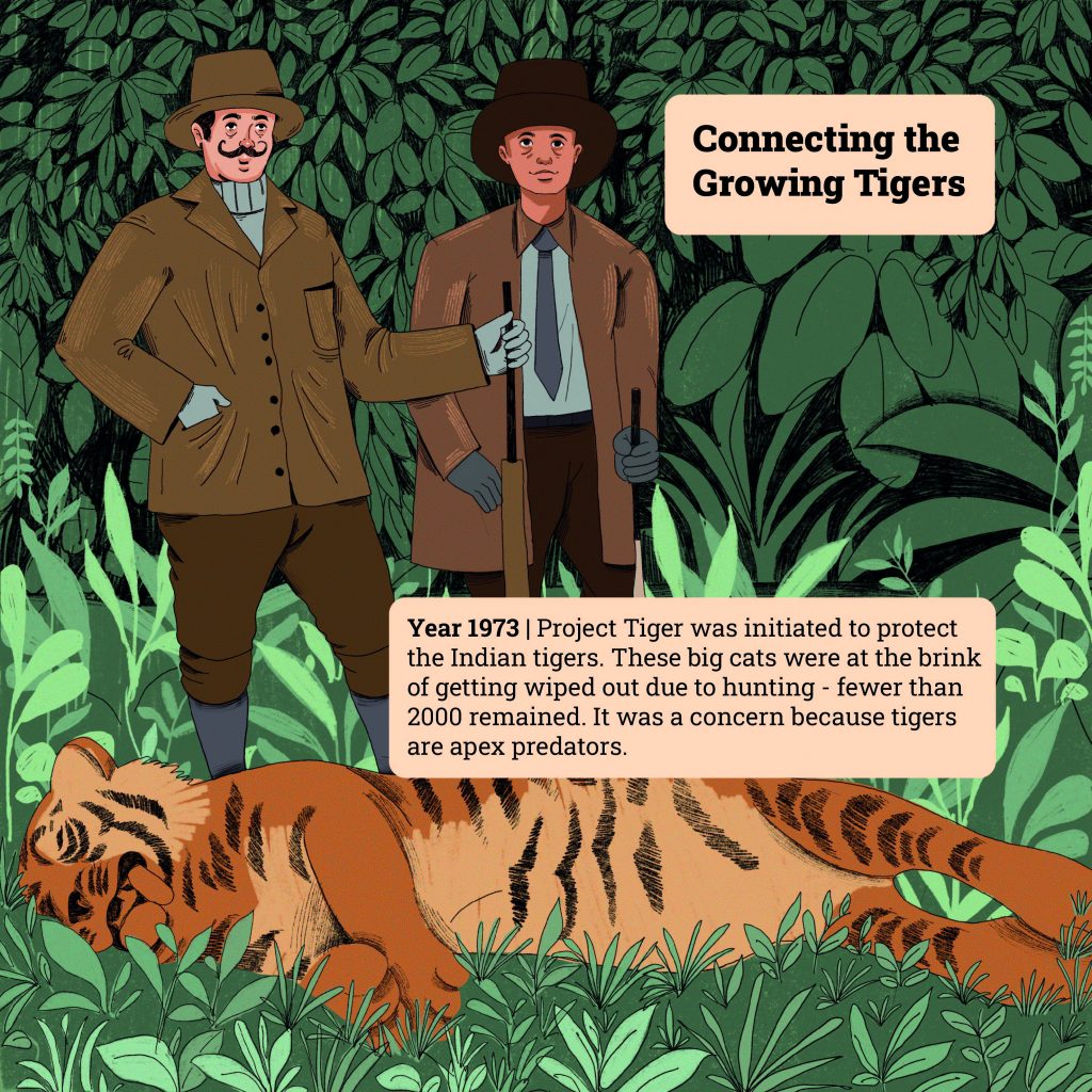 Connecting the Growing Tigers - SciTales