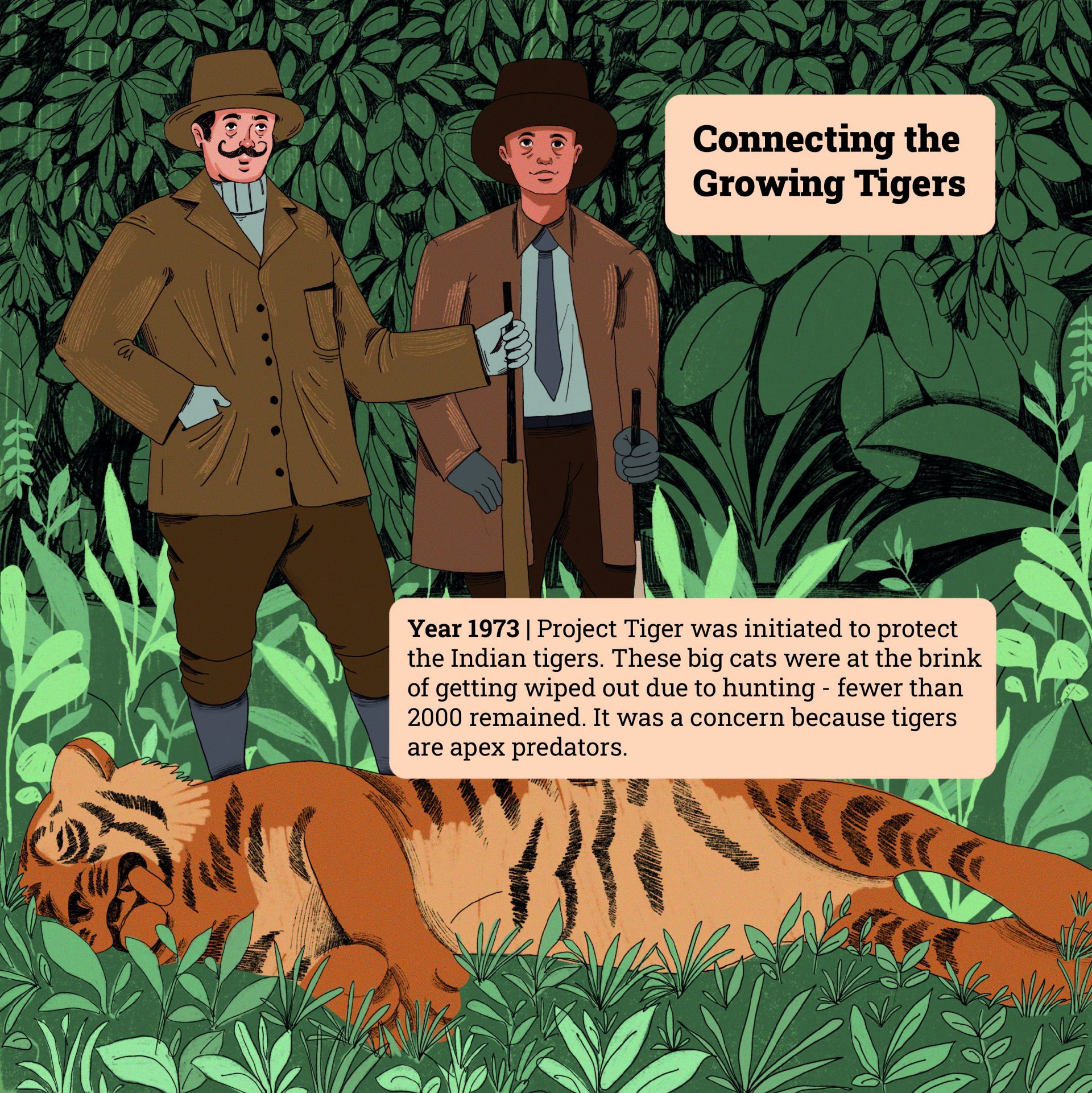 Connecting the Growing Tigers - SciTales