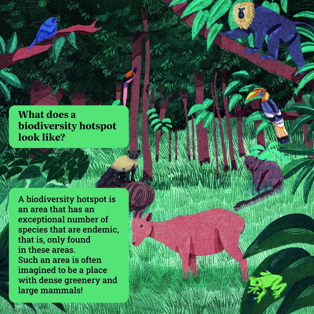 What does a biodiversity hotspot look like? - SciTales