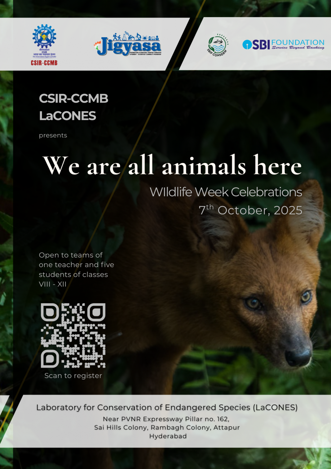 Wildlife Week Celebrations – 2025 - SciTales