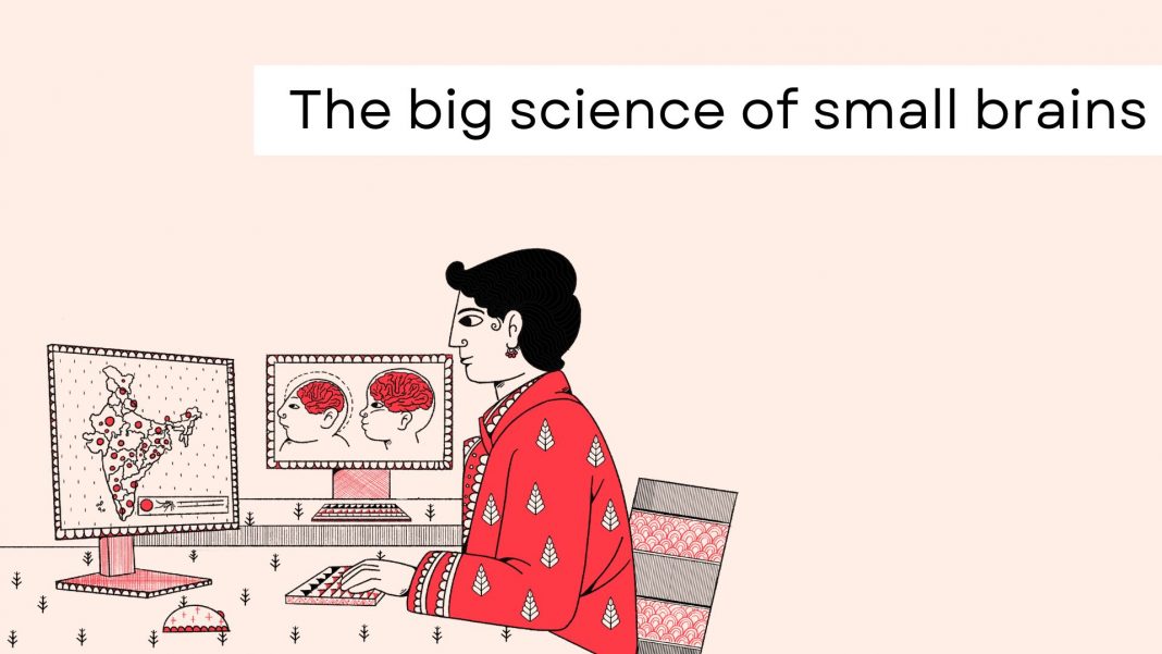 The big science of small brains - SciTales