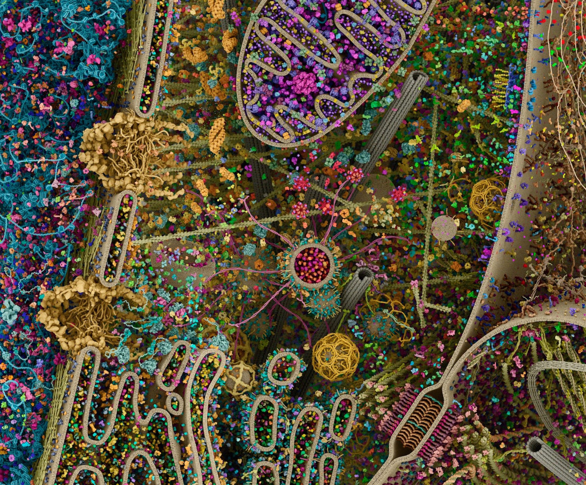 Zooming in 1000000: Why we must Photograph Life’s Microscopic Machines ...